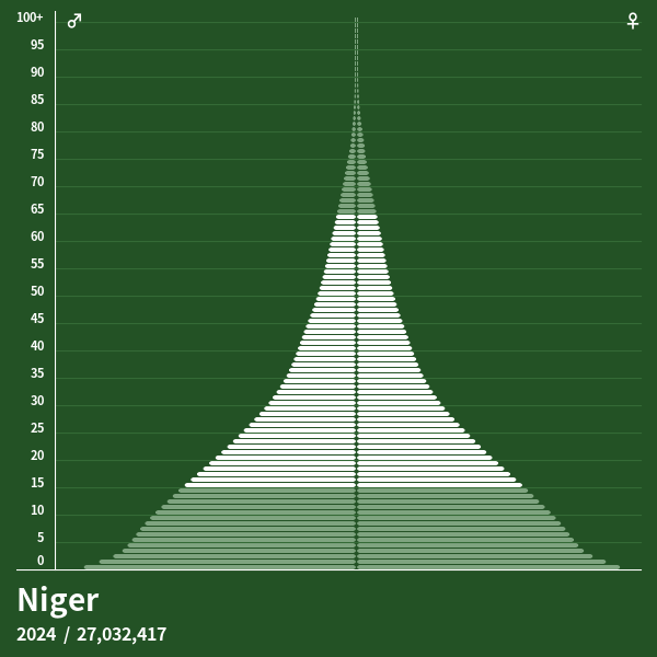 Population Pyramid of Niger at 2025 - Population Pyramids