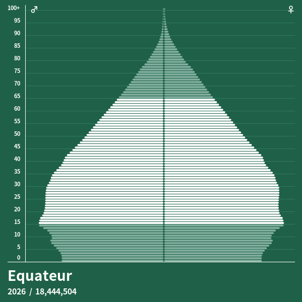 Pyramide de population de Equateur 2026 - Pyramides de population