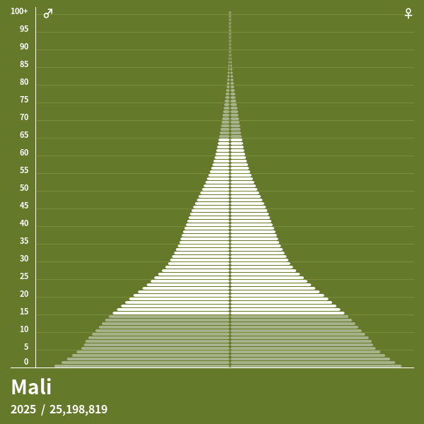Pyramide de population de Mali 2025 - Pyramides de population