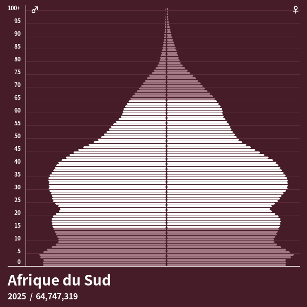 Pyramide de population de Afrique du Sud 2023 - Pyramides de population Pyramide de population de Afrique du Sud 2023 - Pyramides de population