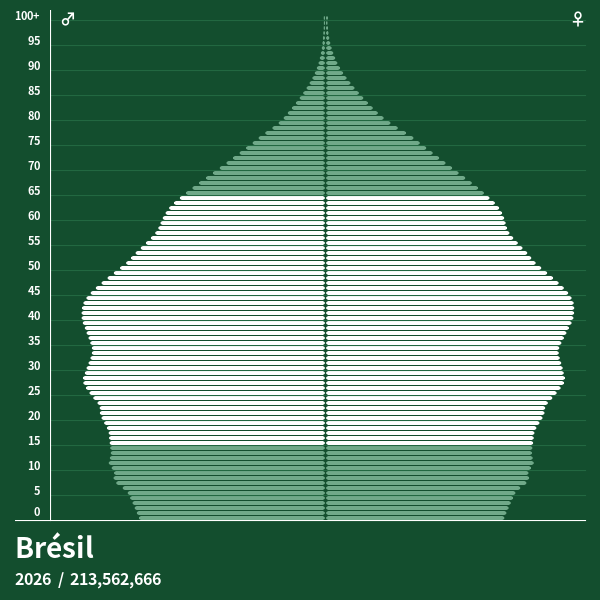 Pyramide de population de Brésil 2025 - Pyramides de population
