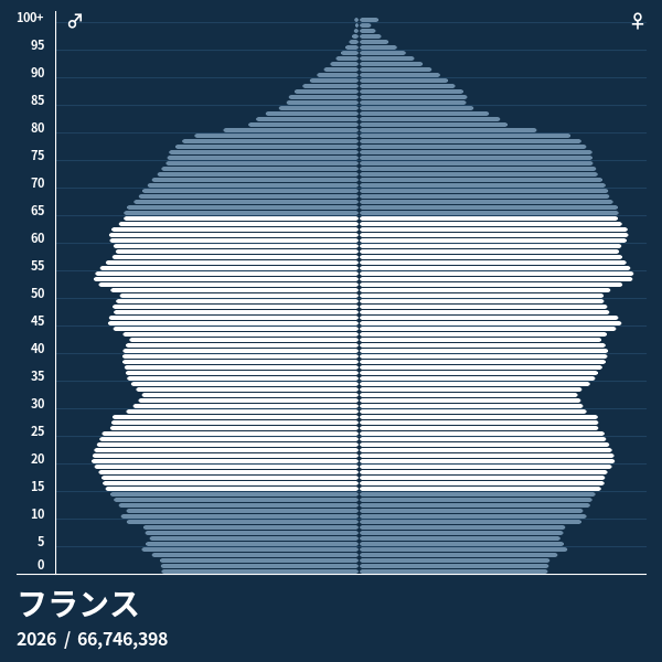 フランスの 2025 年の人口ピラミッド - 人口ピラミッド